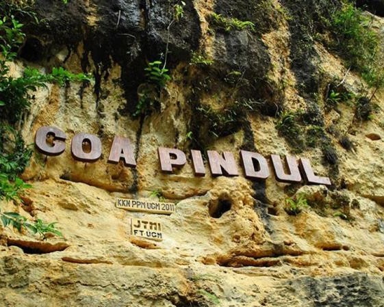 Goa Pindul | Official Website Wisata Pindul